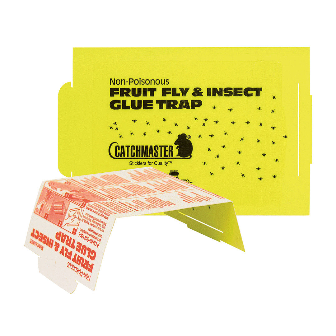 Tablero de pegamento para moscas de la fruta – CatchmasterPRO