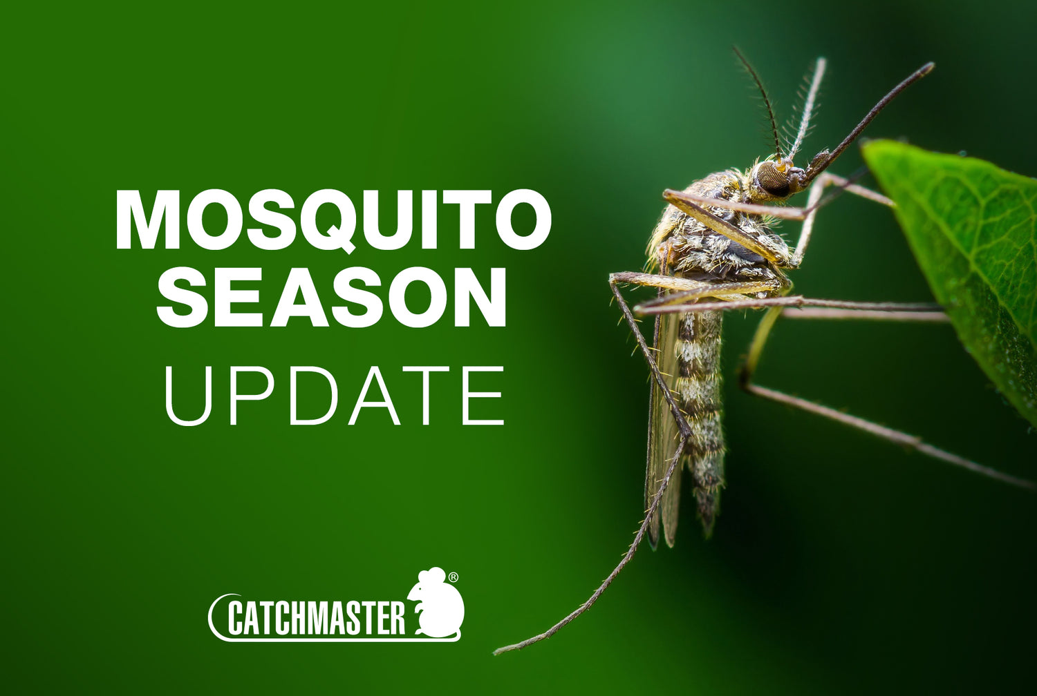 Actualización de la temporada de mosquitos 2019 – CatchmasterPRO