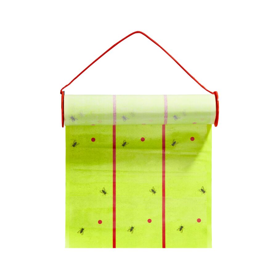 Giant Fly Traps, 12-Count – CatchmasterPRO