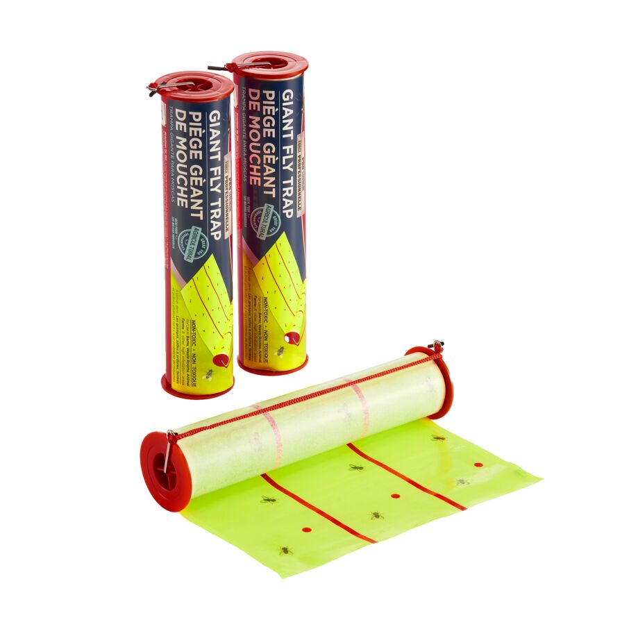 Giant Fly Traps, 12-Count – CatchmasterPRO