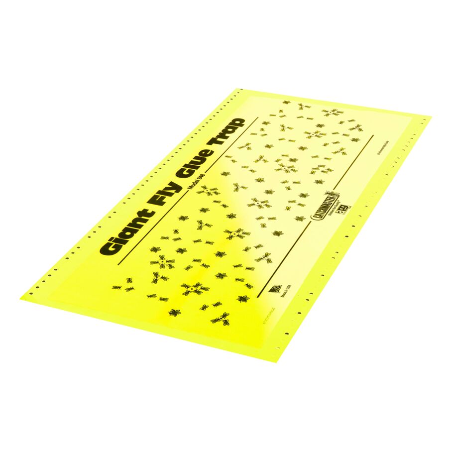 Giant Fly Glue Trap with Attractant, 48-Count – CatchmasterPRO