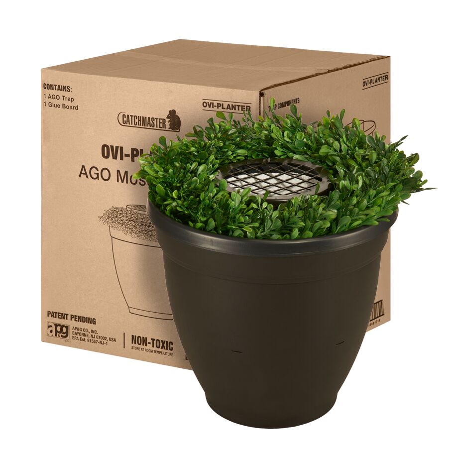 Ovi-Planter™ Mosquito Trap, 1-Count – CatchmasterPRO