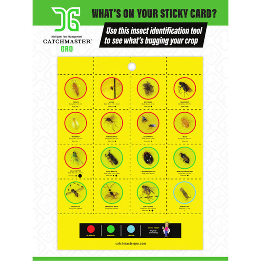 PEST IDENTIFICATION – CatchmasterPRO